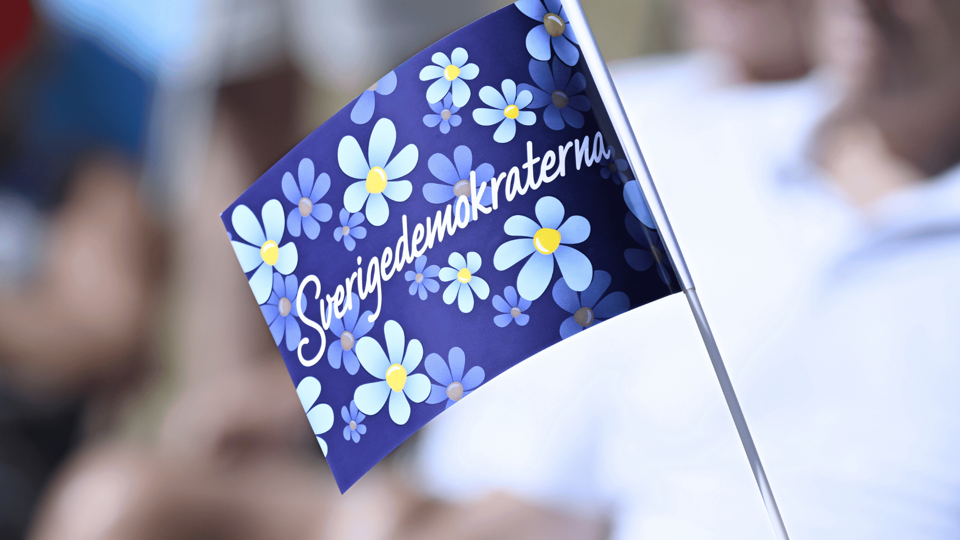 Kalla fakta: SD driver trollfabrik