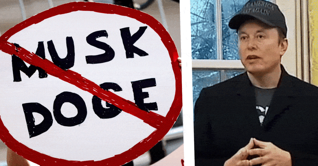 Vad är Doge? Här är fakta om Elon Musks "effektiviseringsprojekt"