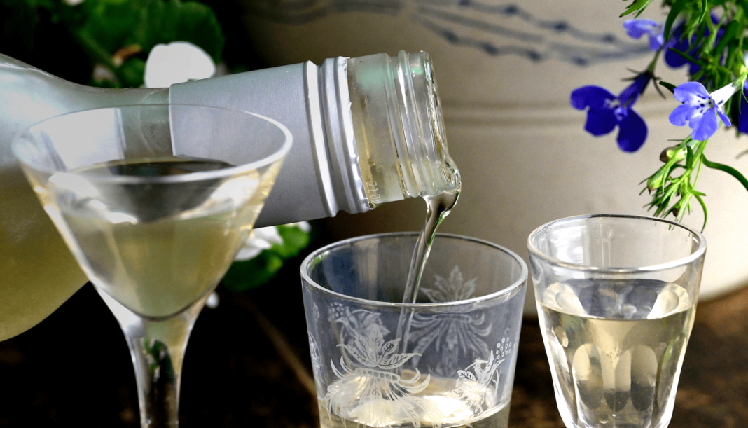 Snapsvisor till midsommar – här är de bästa sångerna att sjunga